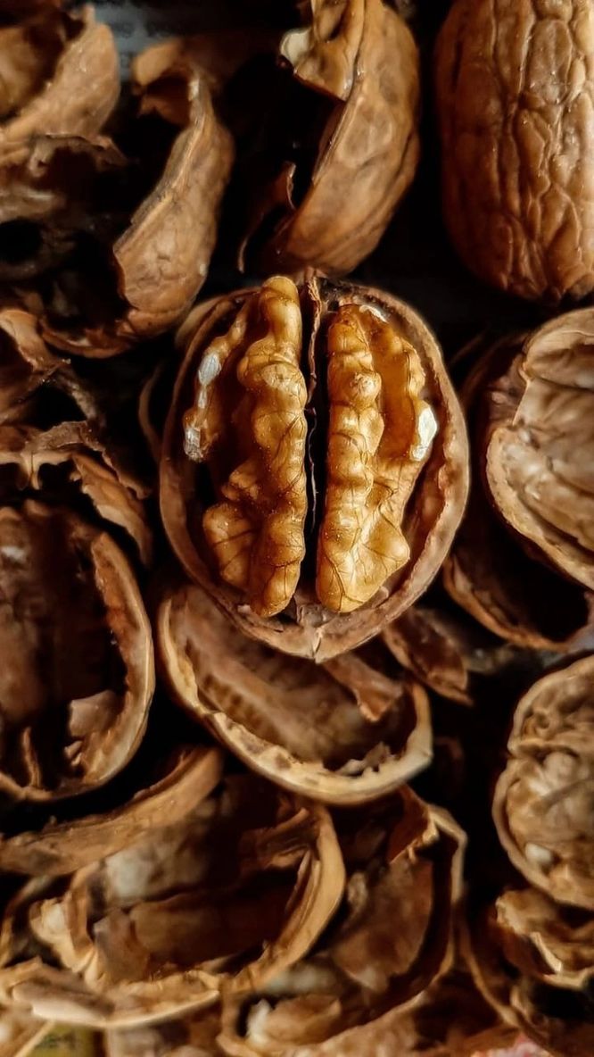 Walnuts (without shell) - 500g – The Cowboys Farm