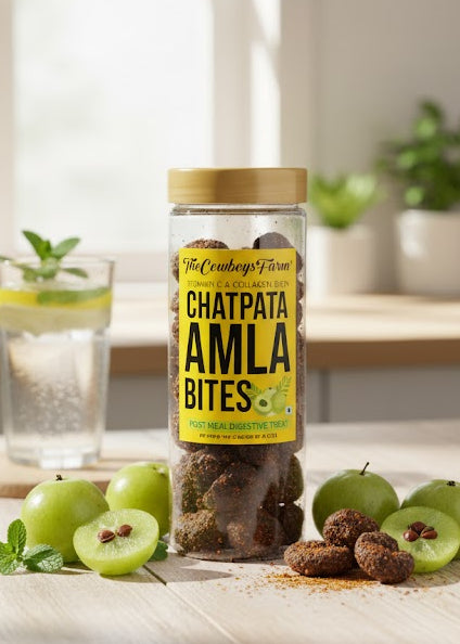 Chatpata Amla Bites (300 gms) – The Cowboys Farm®